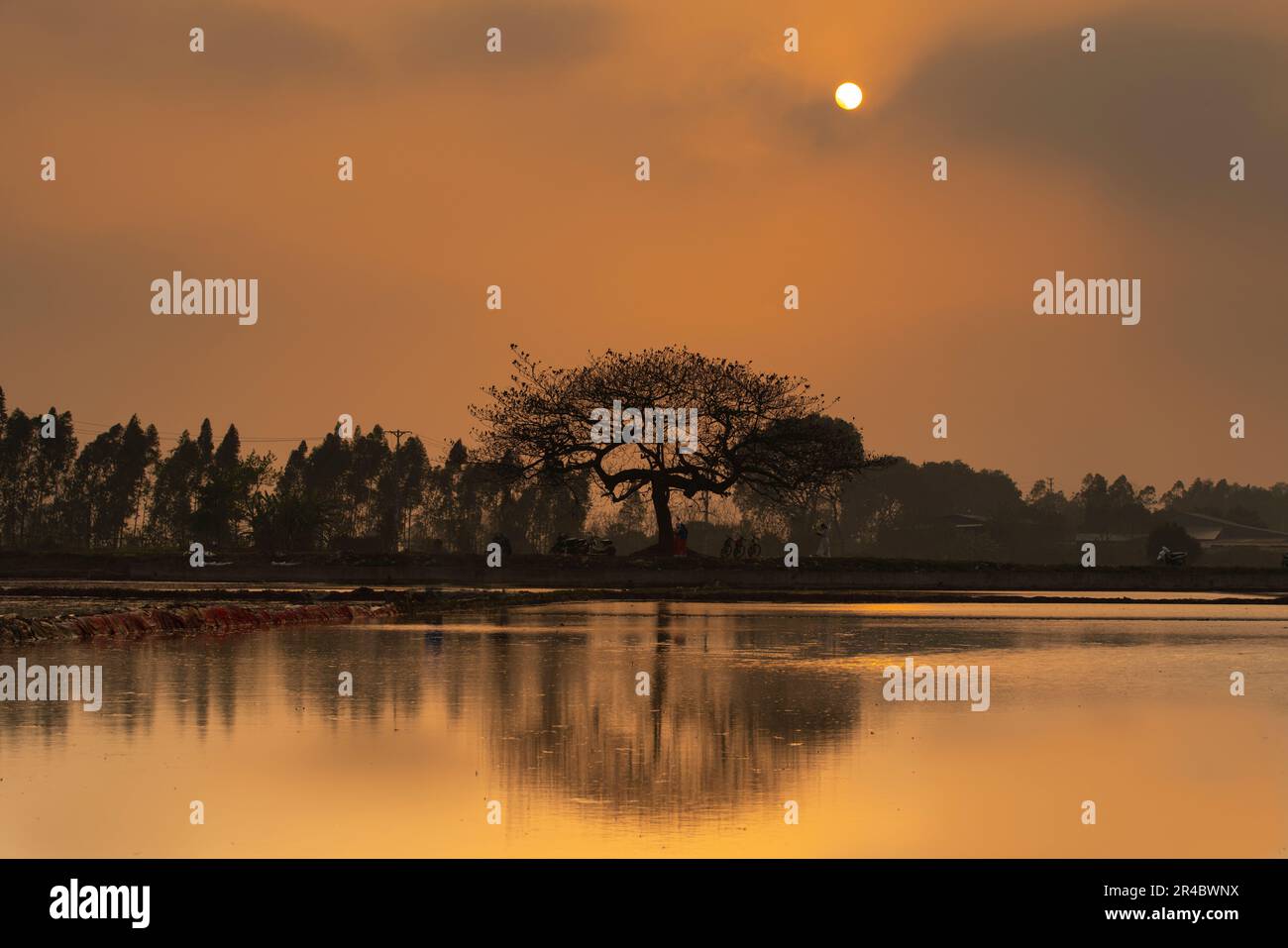 Sunset in Dong Mo lake, Son Tay, Ha Noi capital, Vietnam Stock Photo ...