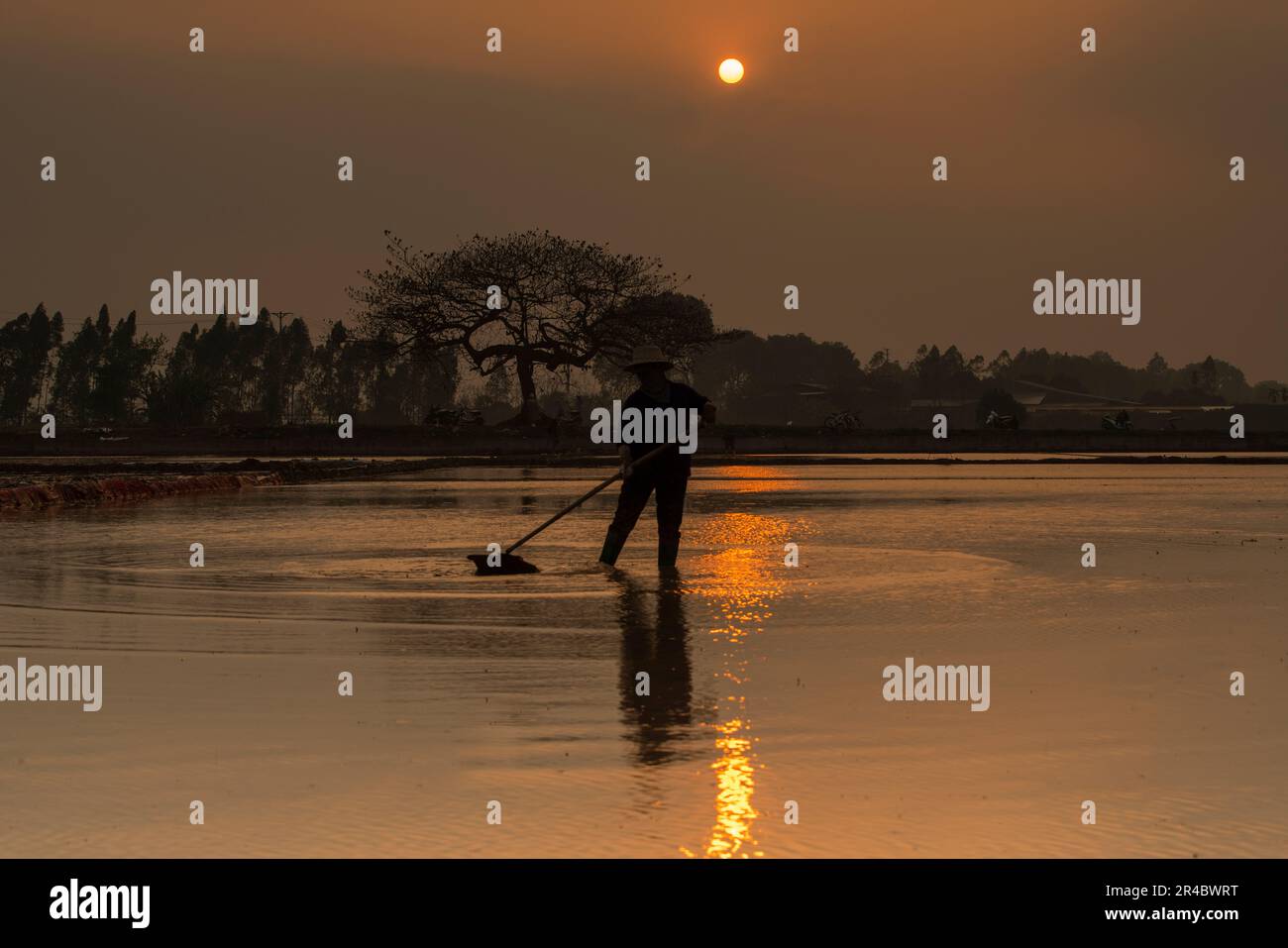 Sunset in Dong Mo lake, Son Tay, Ha Noi capital, Vietnam Stock Photo ...