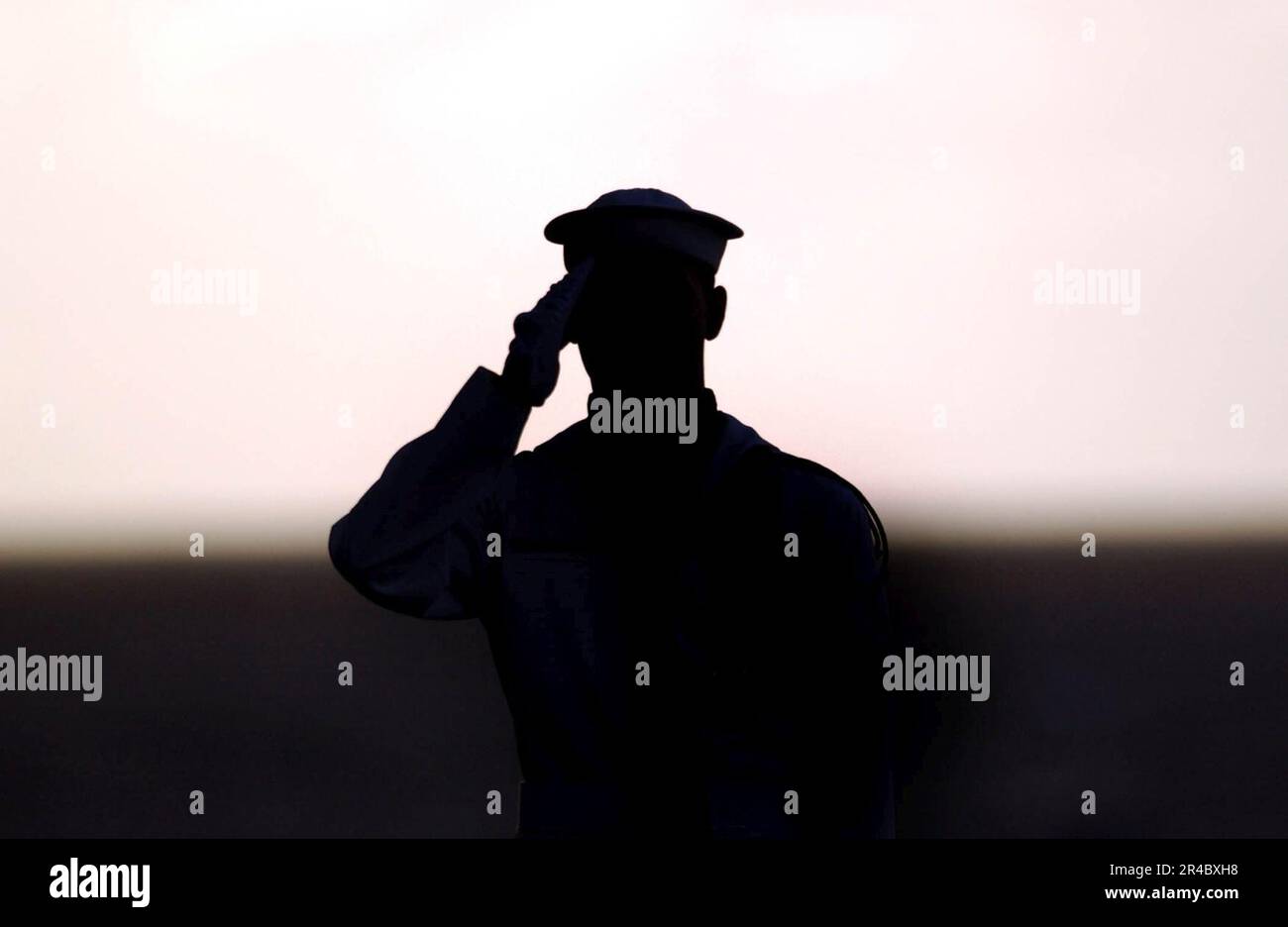 US Navy A member of the honor guard salutes as a bugler bellows the ...