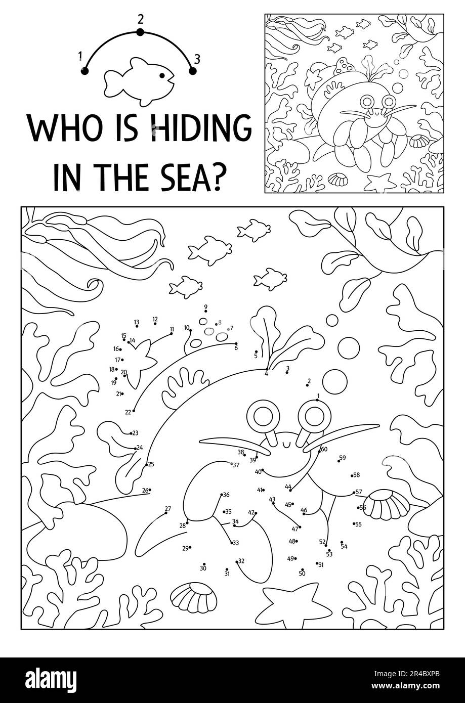 Hidden hermit crab Stock Vector Images - Alamy