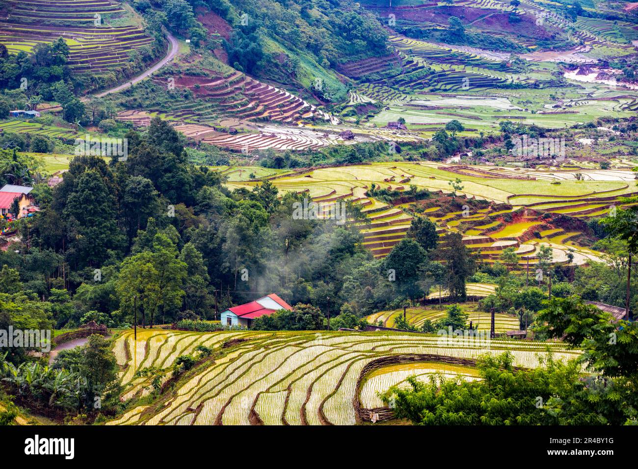 In the rainy season, the terraced fields are poured, famers transplant ...
