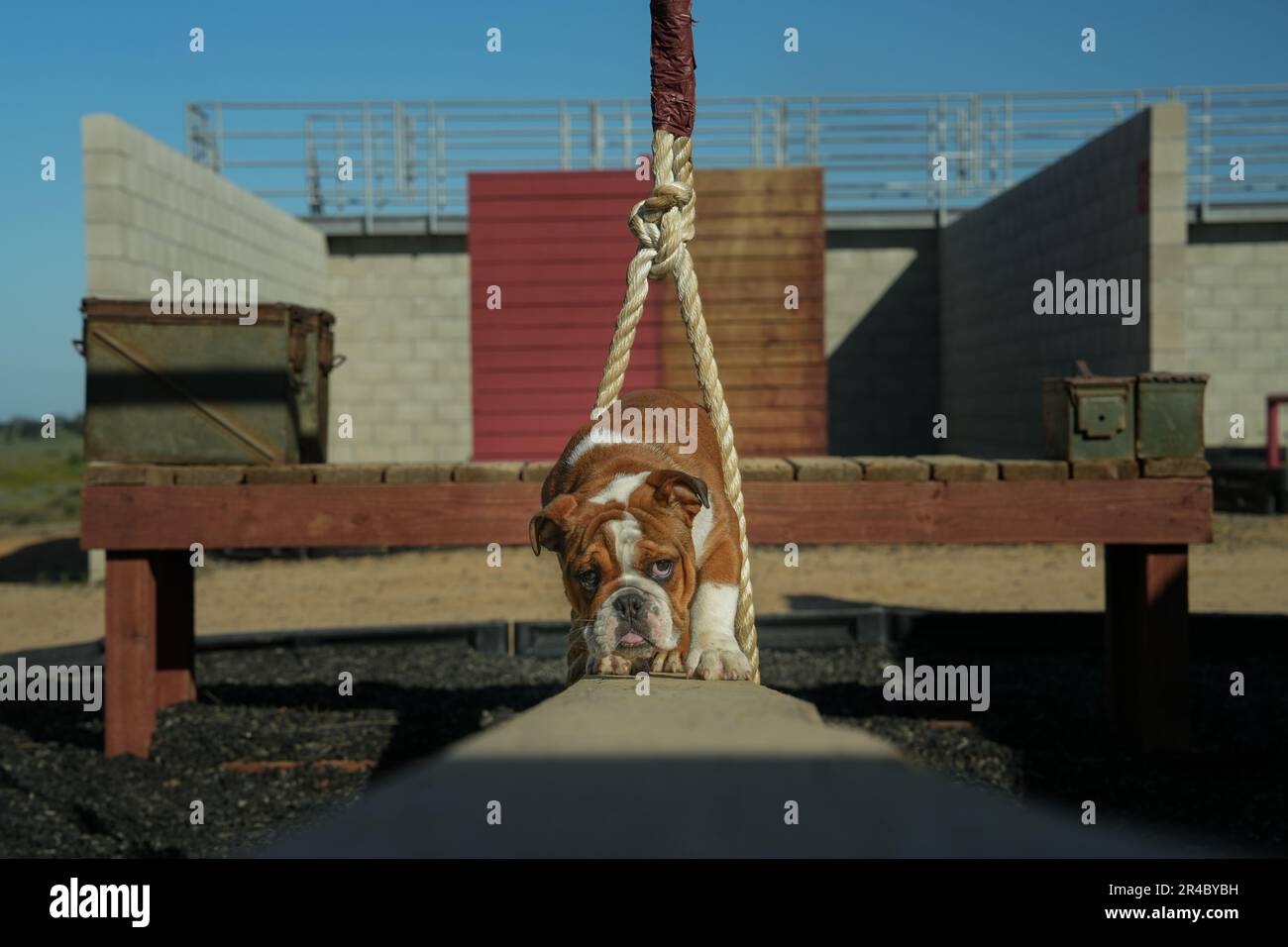 U.S. Marine Corps Rct. Bruno tactfully walks across a ramp during a 12 ...