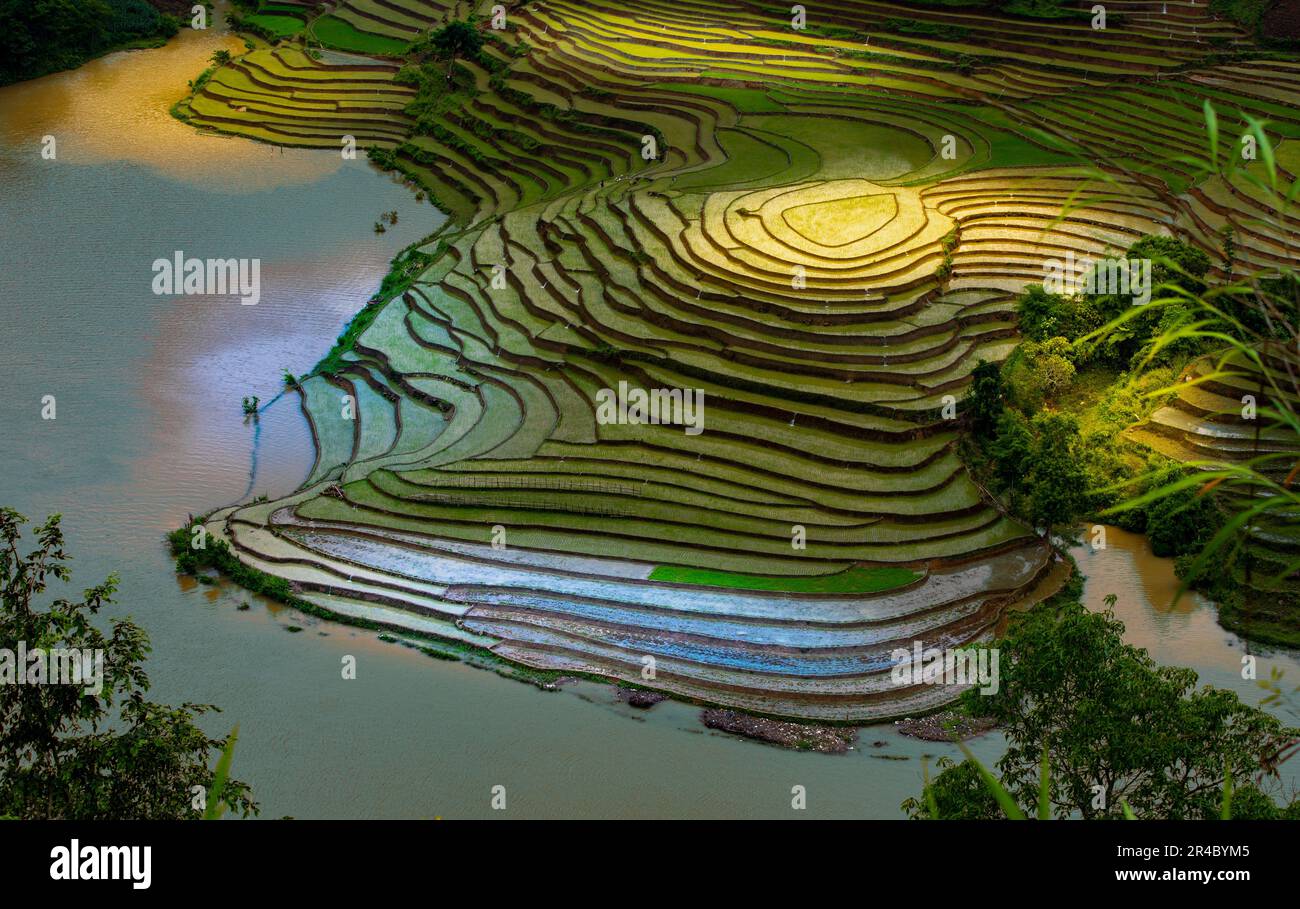 In the rainy season, the terraced fields are poured, famers transplant ...