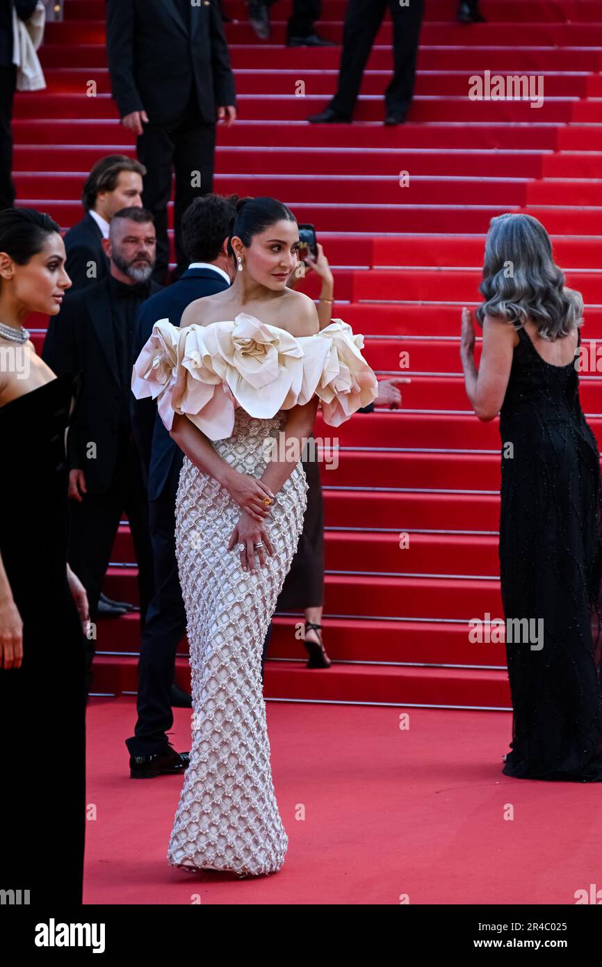 Anushka Sharma 76th Cannes Film Festival Red Carpet of the movie -The ...