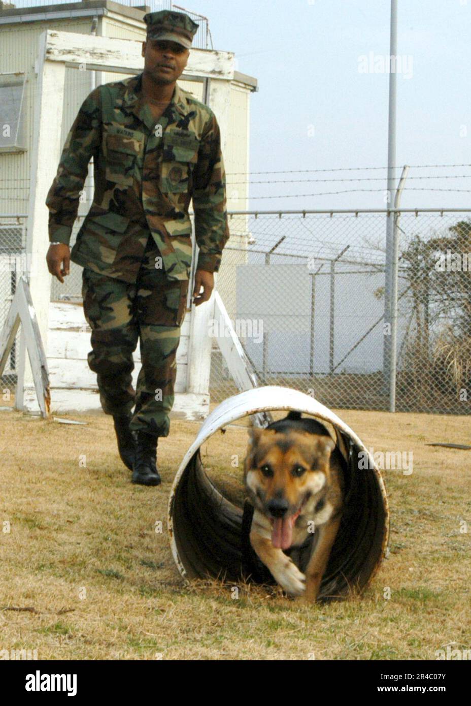 US Navy Ammo, a 6-year-old police dog, commanded by Master-At-Arms 1st ...