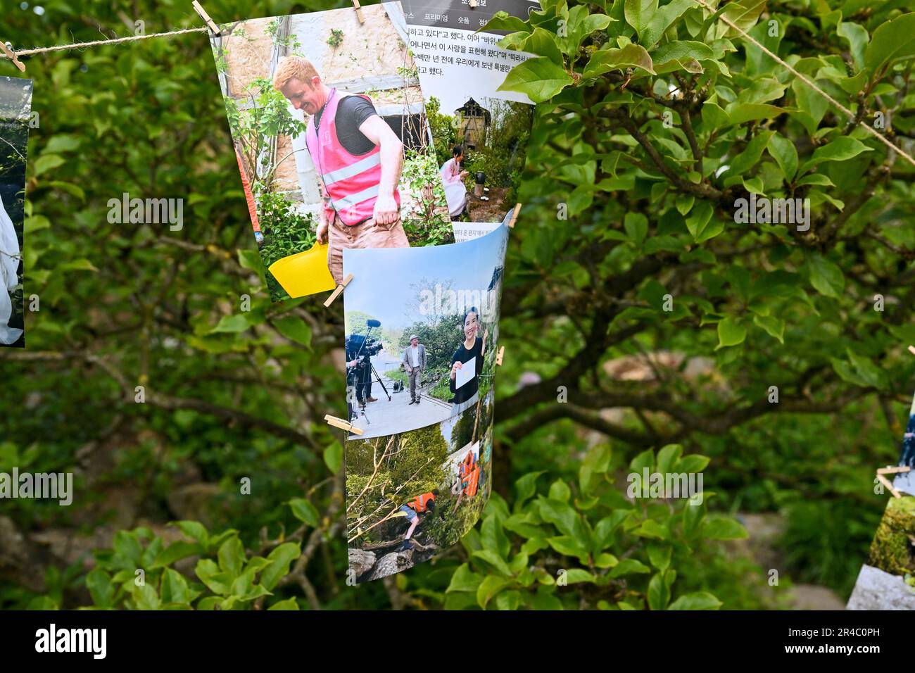 London, UK. 27th May, 2023. Chelsea, London, UK on May 27 2023 ...