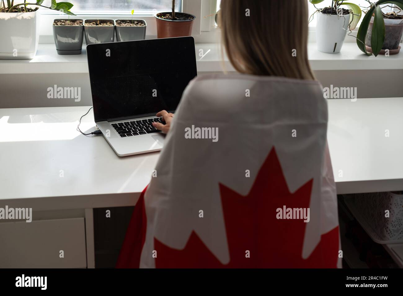 Canada National Flag Business Communication Connection Concept Stock ...