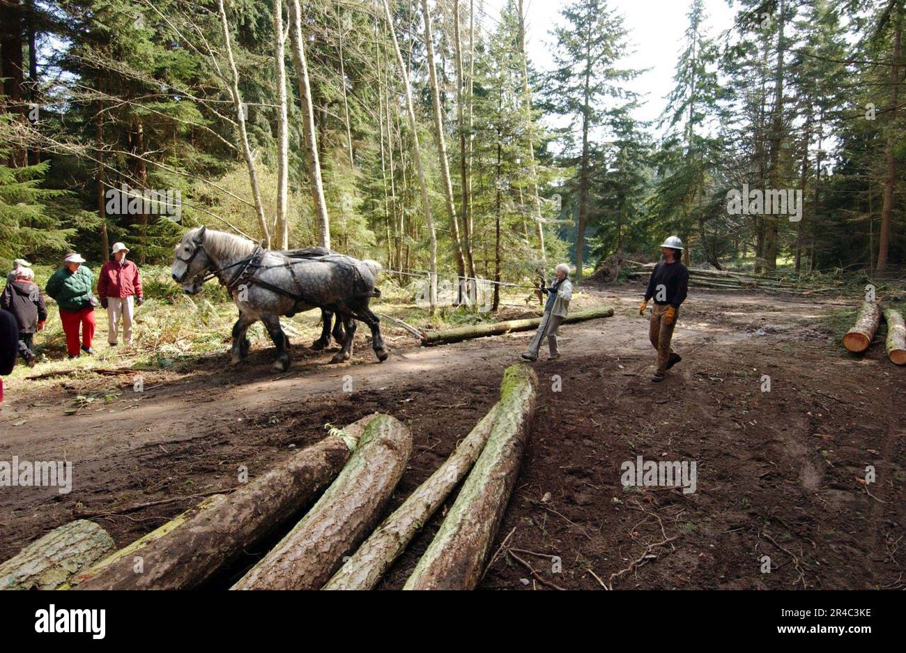 US Navy Logger stands watch over Mrs. Sarah Nell Davis as she leads the ...