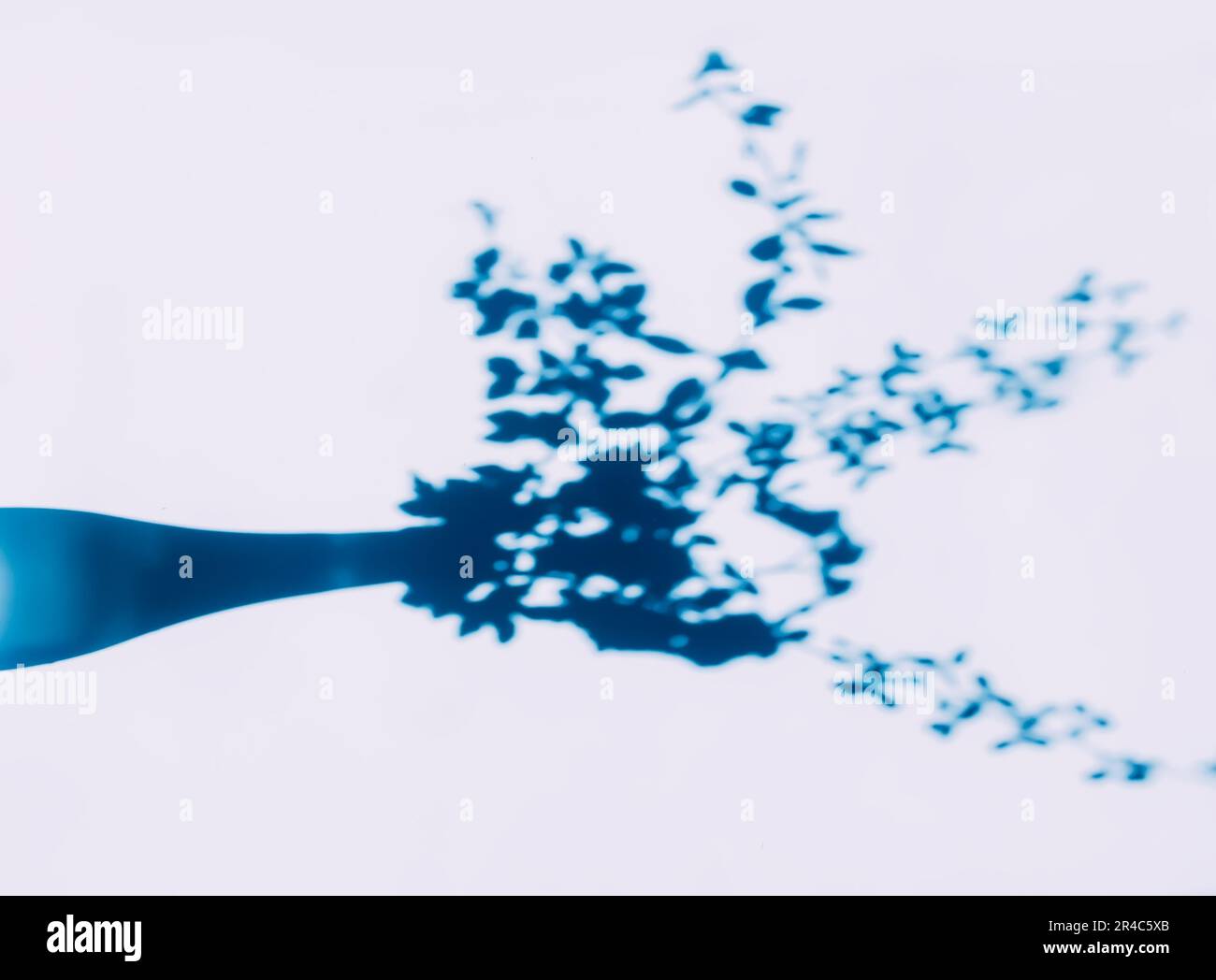 Blurred shadows of the branches in bouquet. Hard light and shadow ...