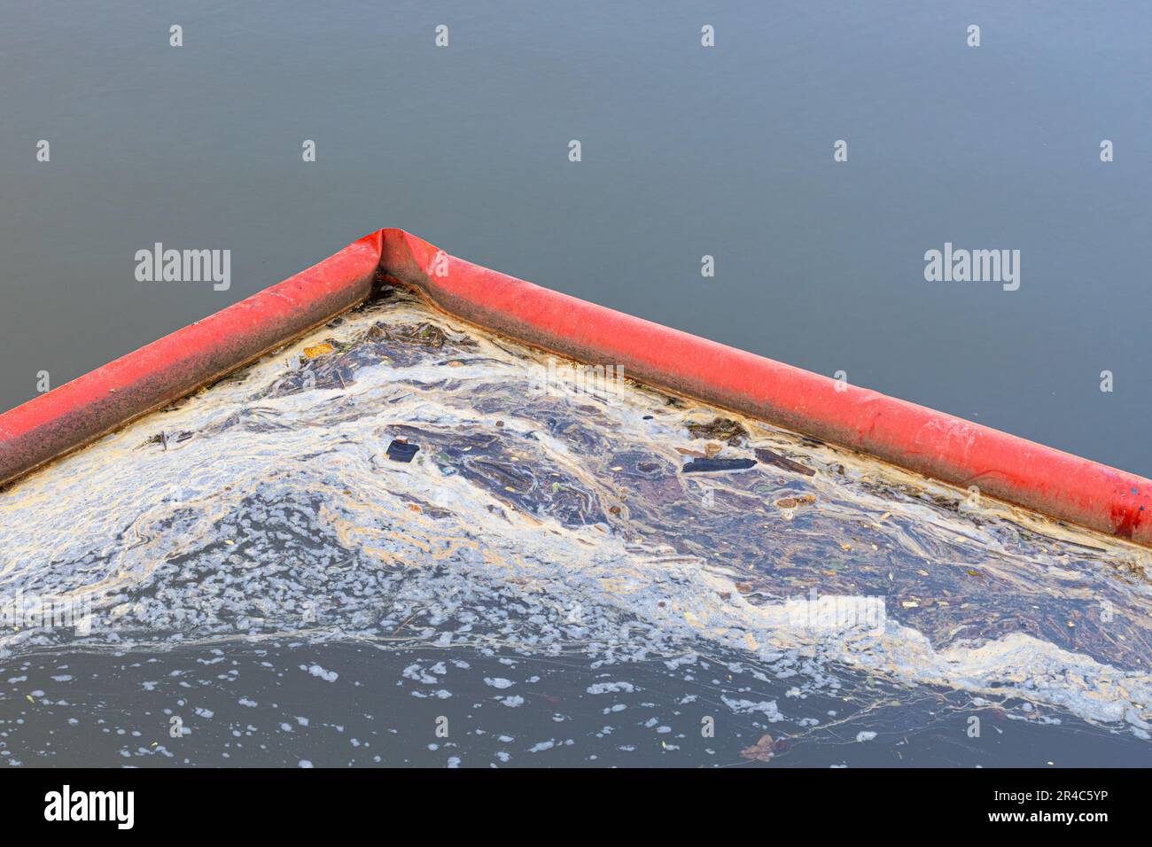 cleaning the pond from floating debris and sewage. mechanical cleaning ...