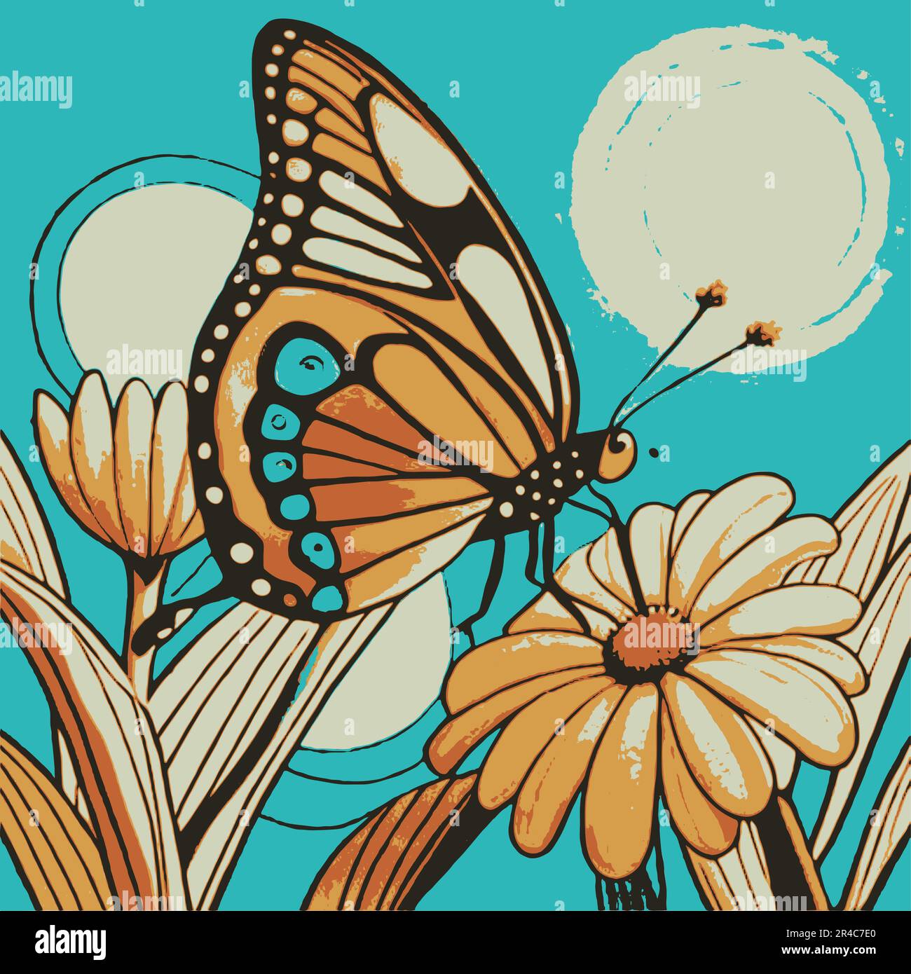 Insect macro close view Stock Vector Images - Alamy