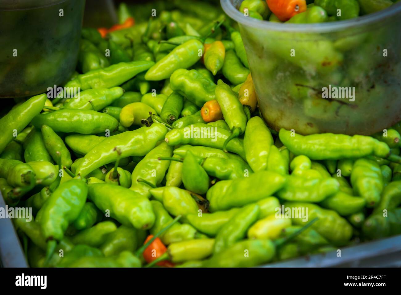 An array of vibrant, spicy green peppers on display in a market, with ...