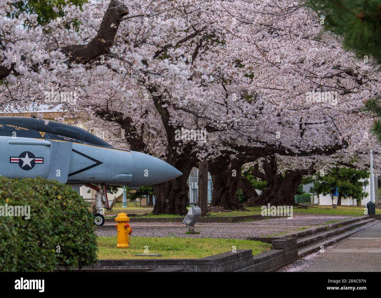 230327-N-VI040-1151 NAVAL AIR FACILITY ATSUGI, Japan (March 27, 2023) An F-4S Phantom model sits ...