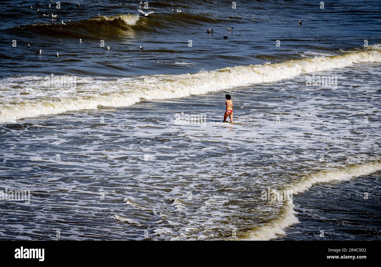 SCHEVENINGEN - Bathers on the beach of Scheveningen, during the dry and ...