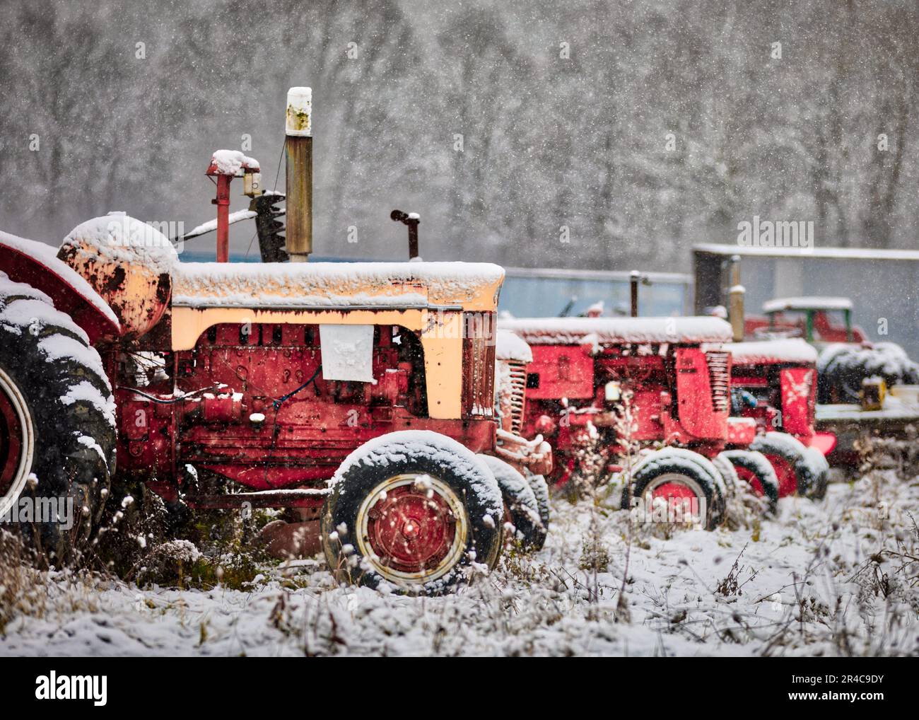 An isolated image of a bright red farm tractor standing against a ...
