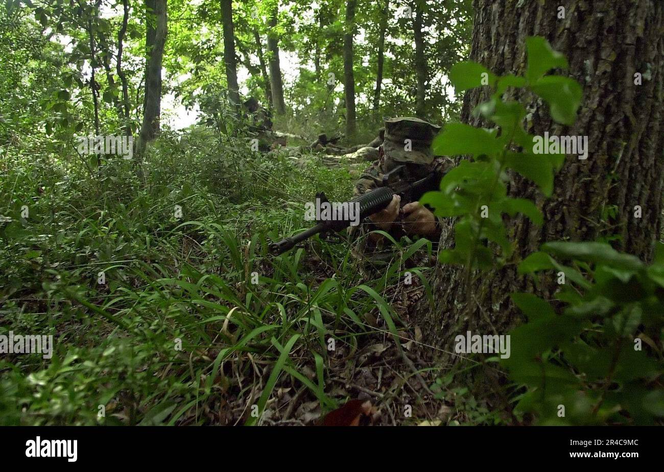 US Navy Marines from Marine Aviation Training Support Group Two One ...