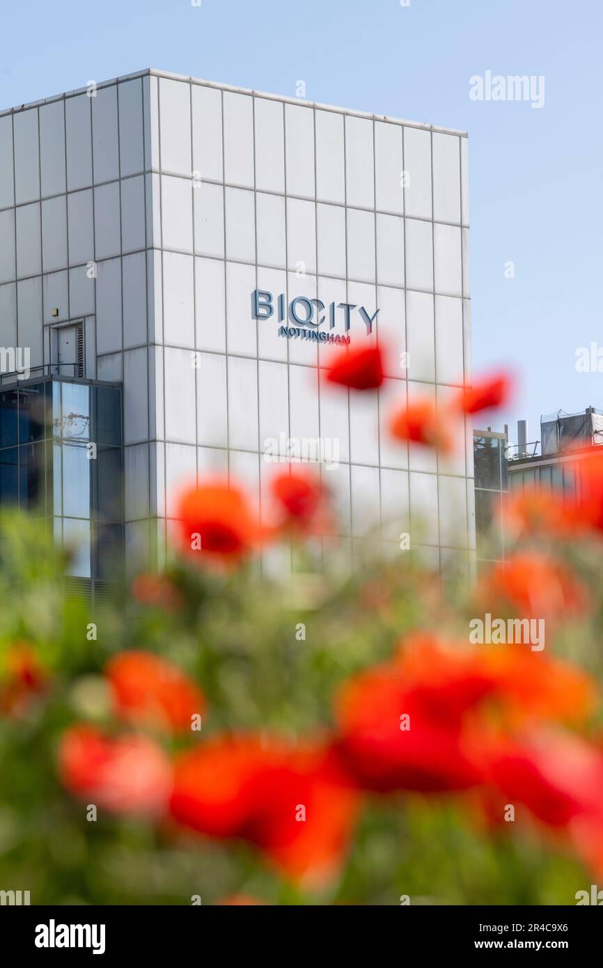 Looking through poppies towards Bio City form the Island Quarter in ...