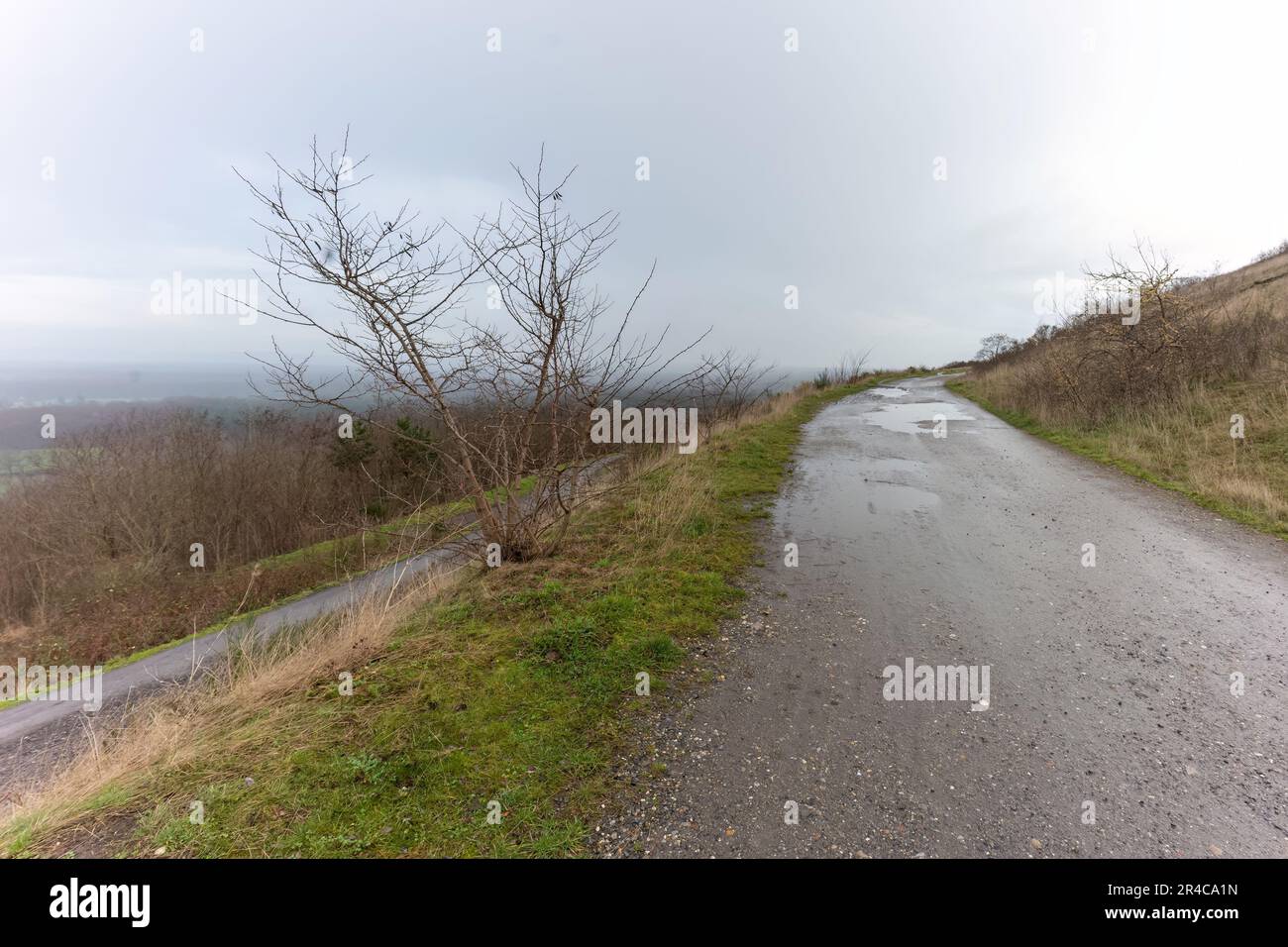 A winding asphalt road meandering through a lush, green landscape ...