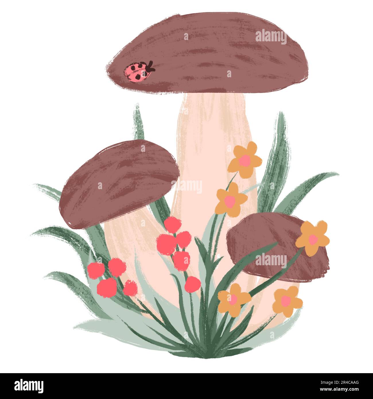 Hand drawn illustration of summer brown mushroom with grass herbs ...