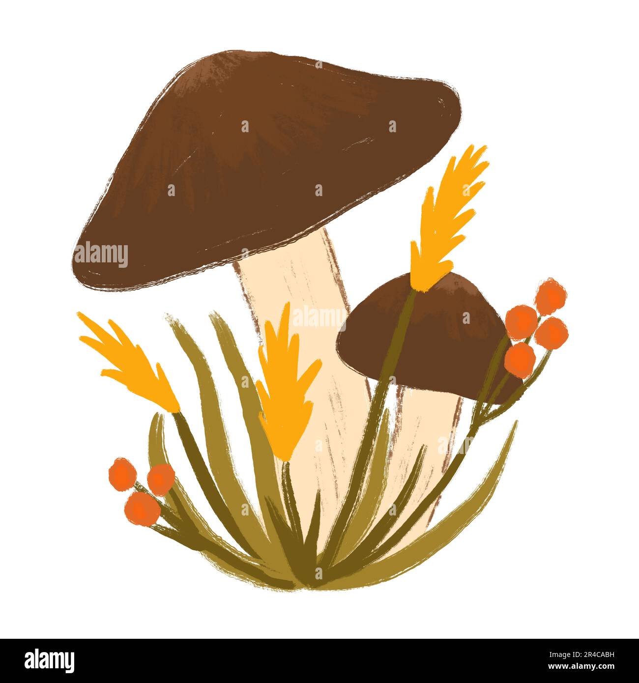 Hand drawn illustration of summer brown mushroom with grass herbs ...