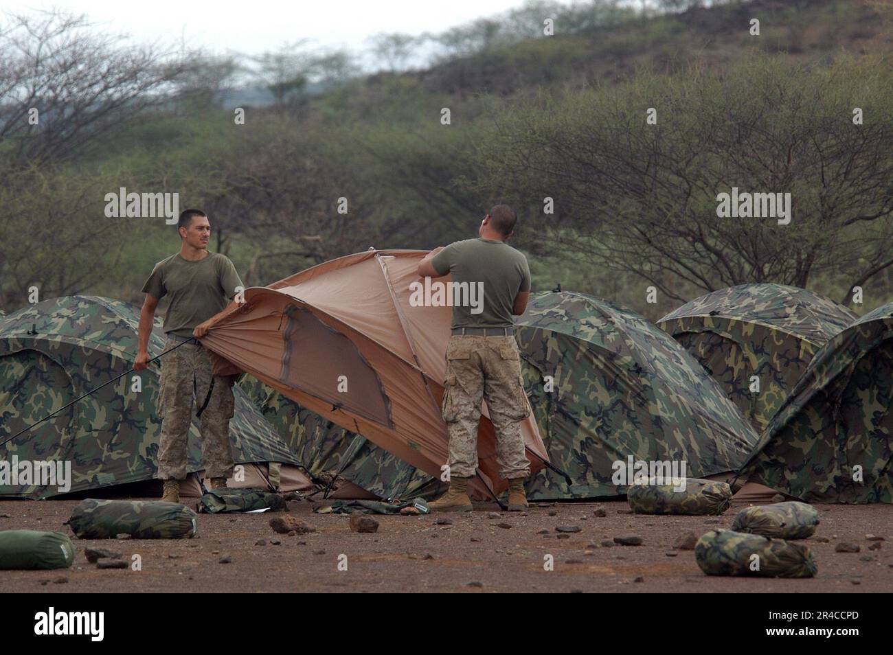 US Navy Lance Cpl. assemble a series of two-man tents at Camp Lonestar ...