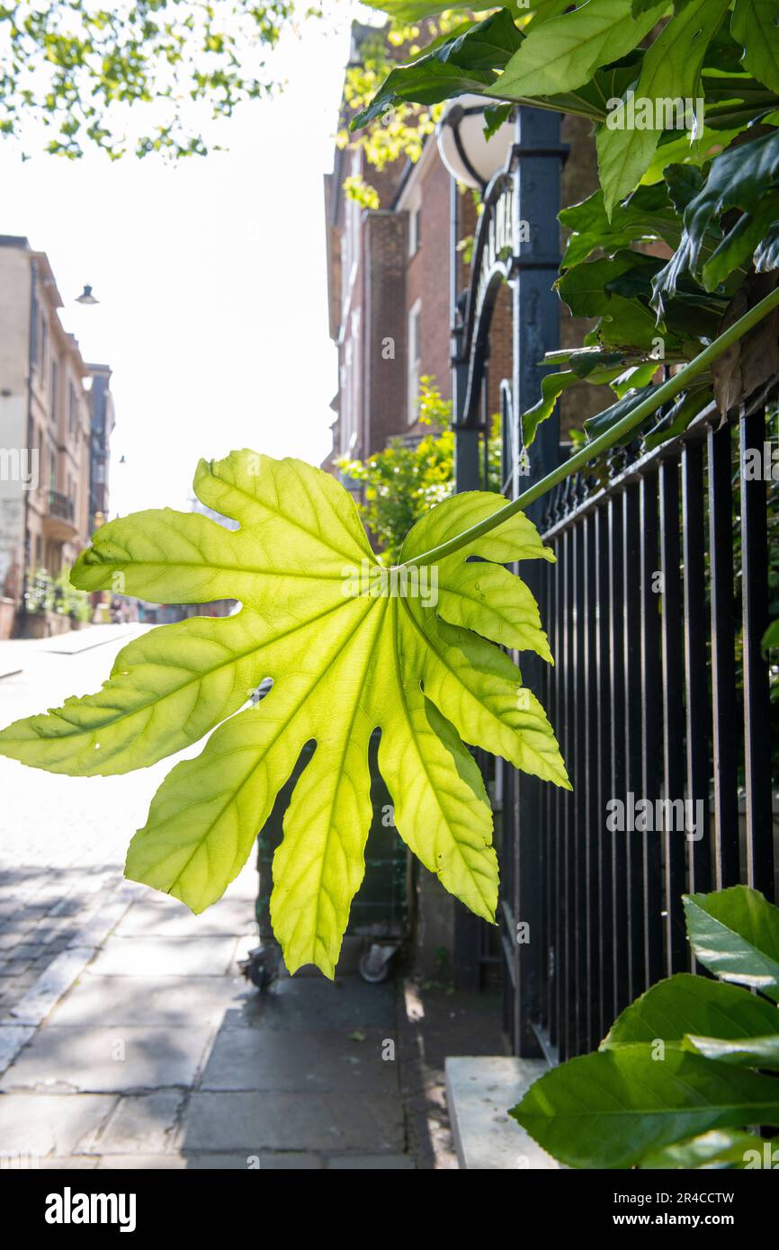 Outside the Pitcher and Piano on High Pavement in Nottingham City ...
