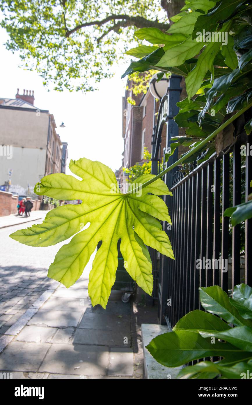 Outside the Pitcher and Piano on High Pavement in Nottingham City ...
