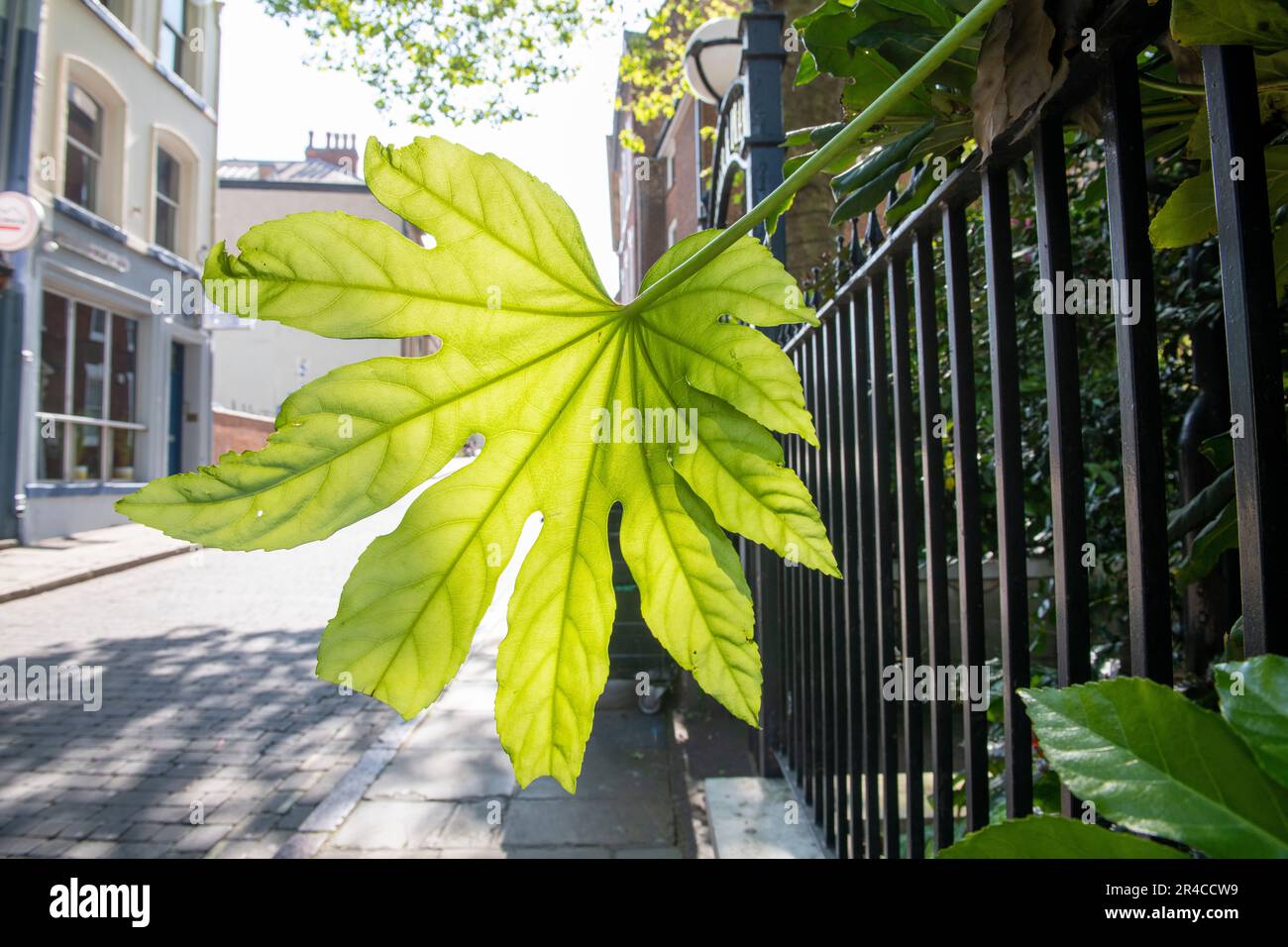 Outside the Pitcher and Piano on High Pavement in Nottingham City ...