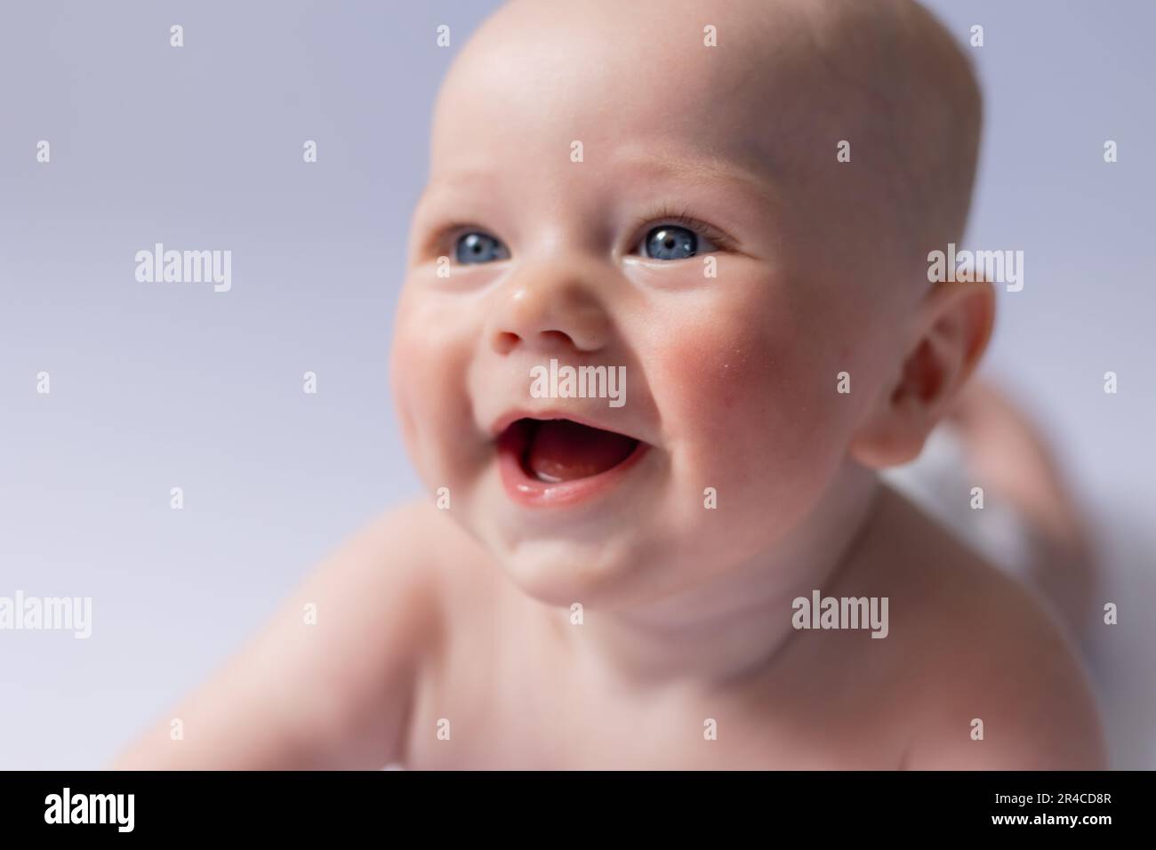portrait of a cute baby 5 months old on a white background in the ...