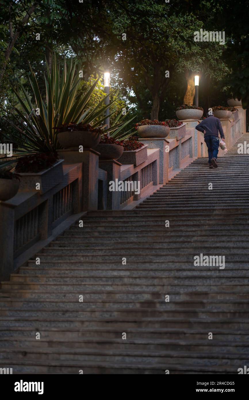 A vertical of man walking up the stairs lit by a streetlamp in a green ...