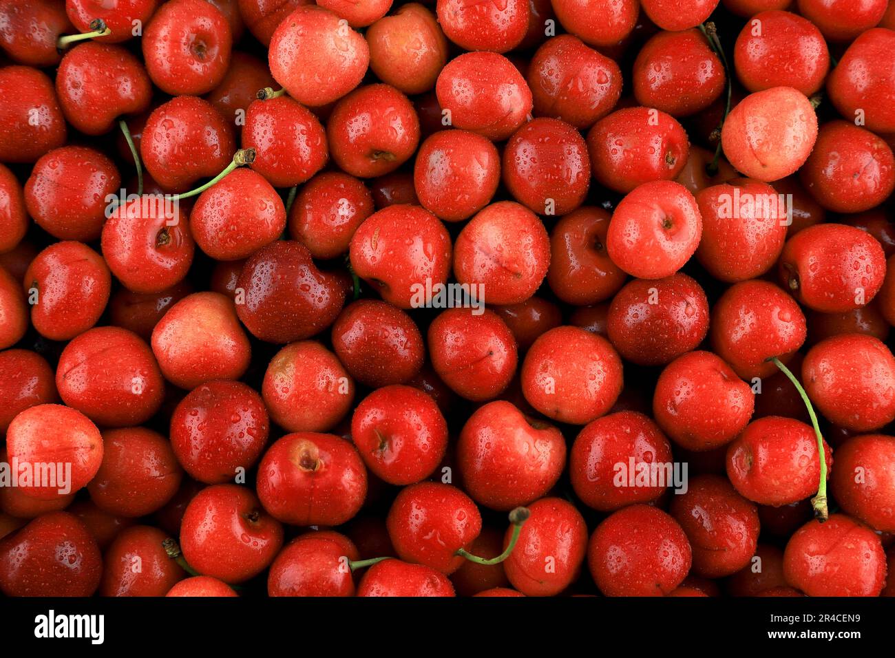 Real cherries hi-res stock photography and images - Alamy