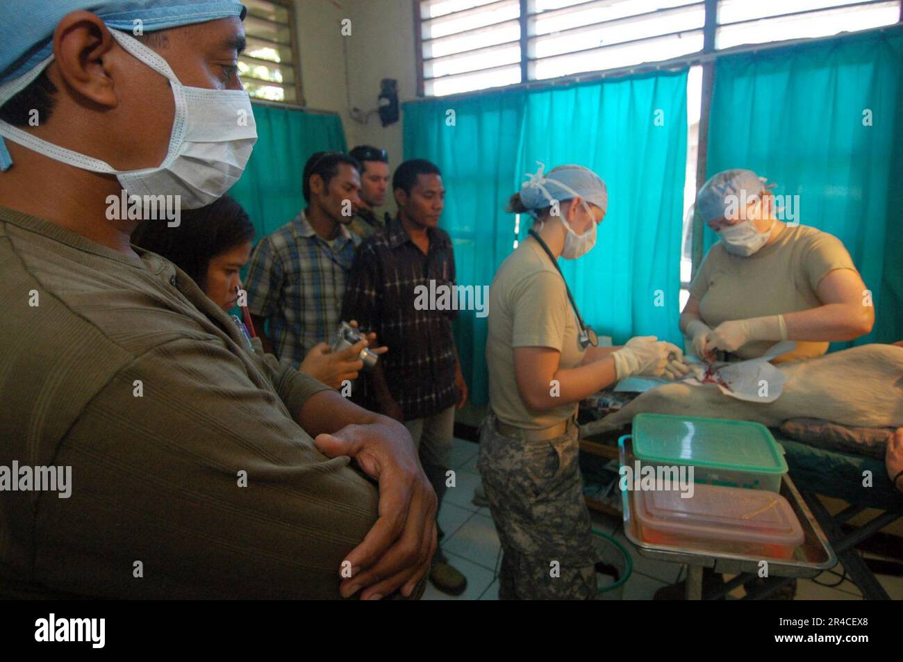 Neutering procedure hi-res stock photography and images - Alamy