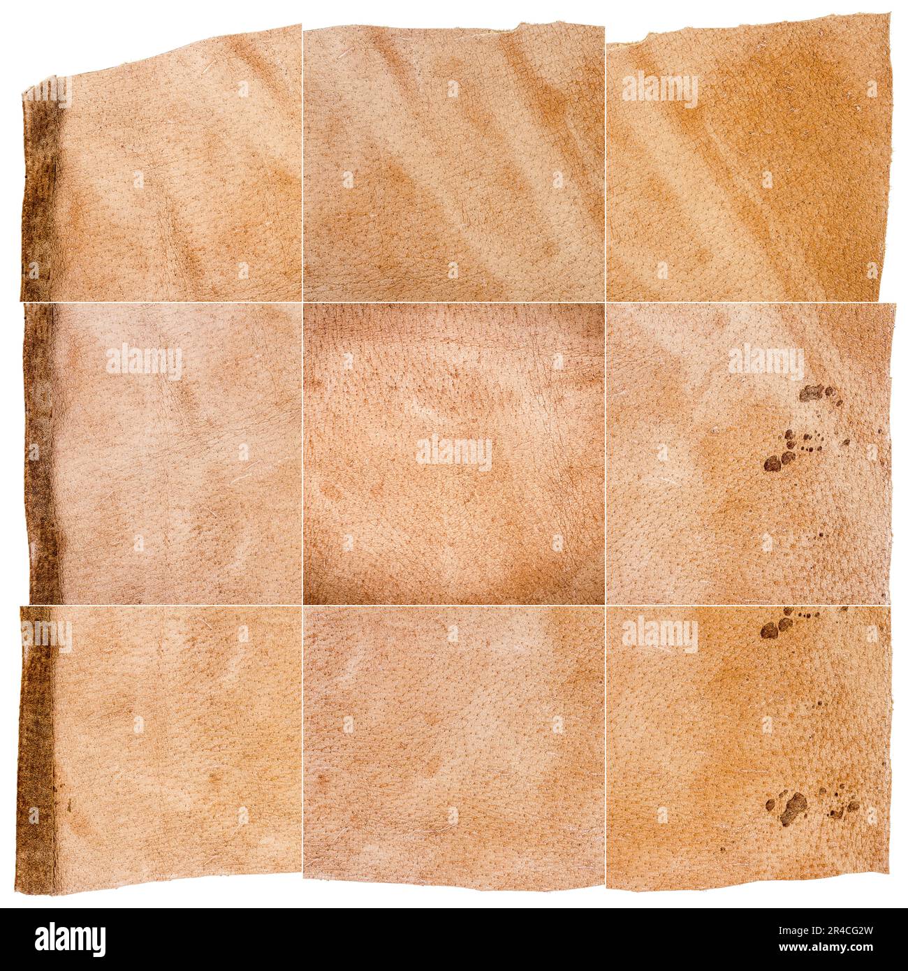 Collection of brown leather textures isolated on white background ...