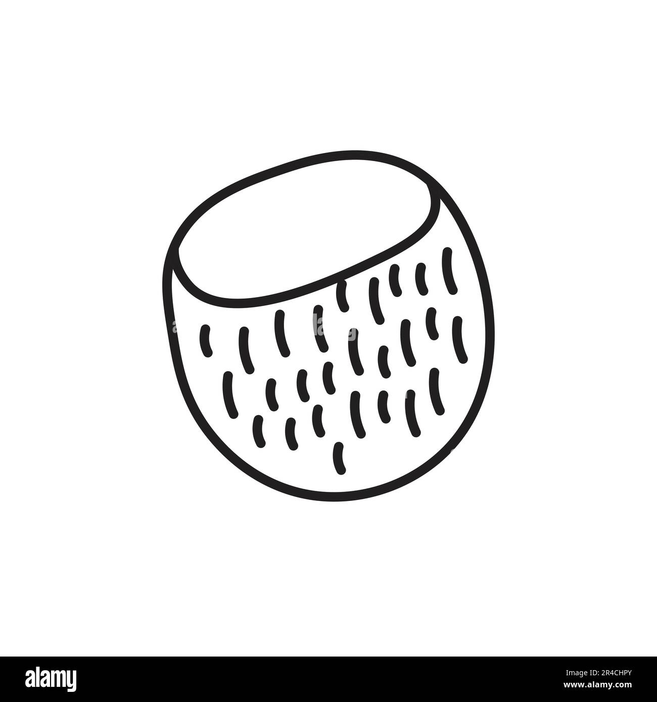 Doodle line art coconut illustration isolated. Line art style cocoa nut ...