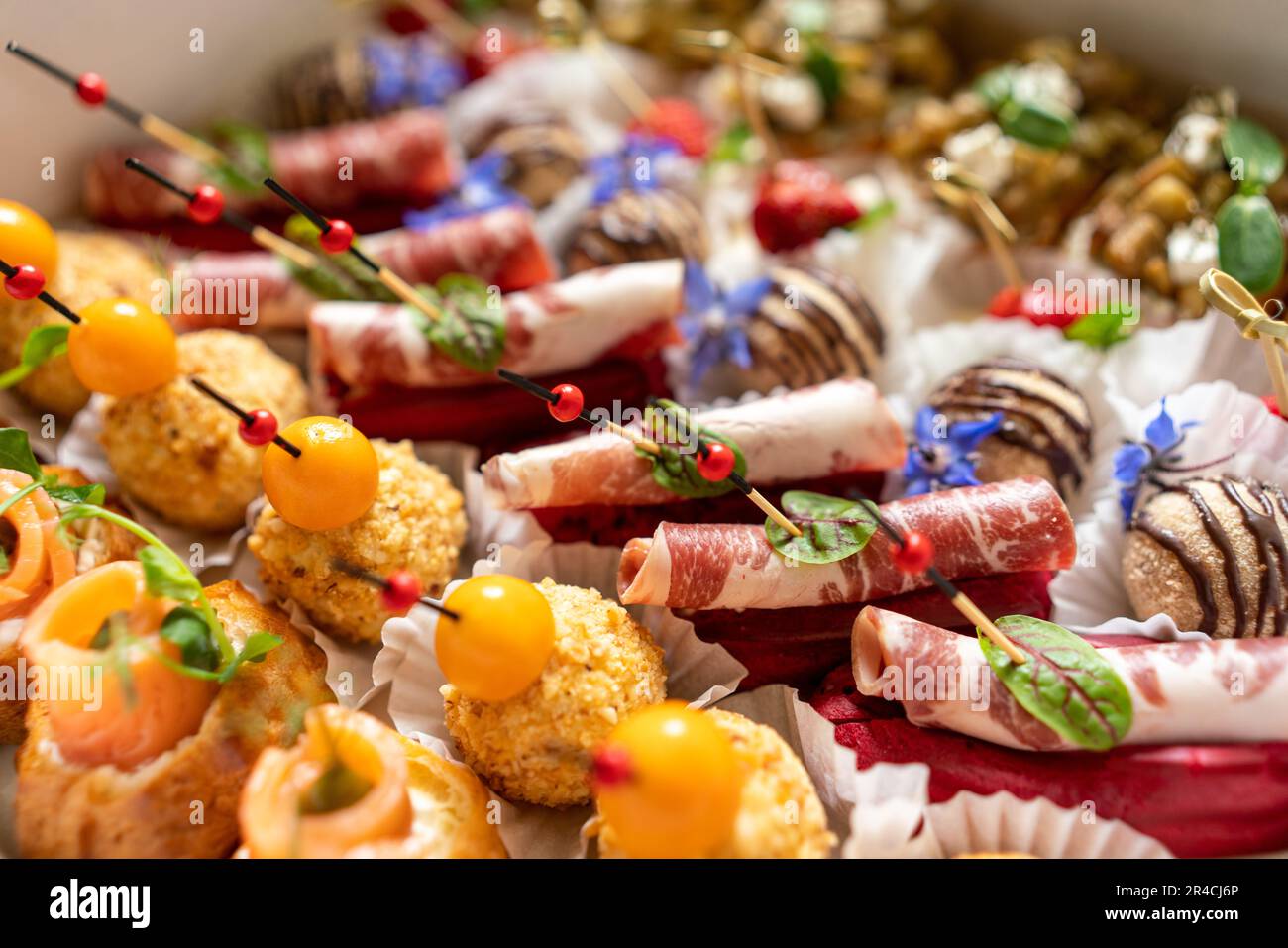 Catering service. Set of beautiful canapes. Buffet table. Shallow depth ...