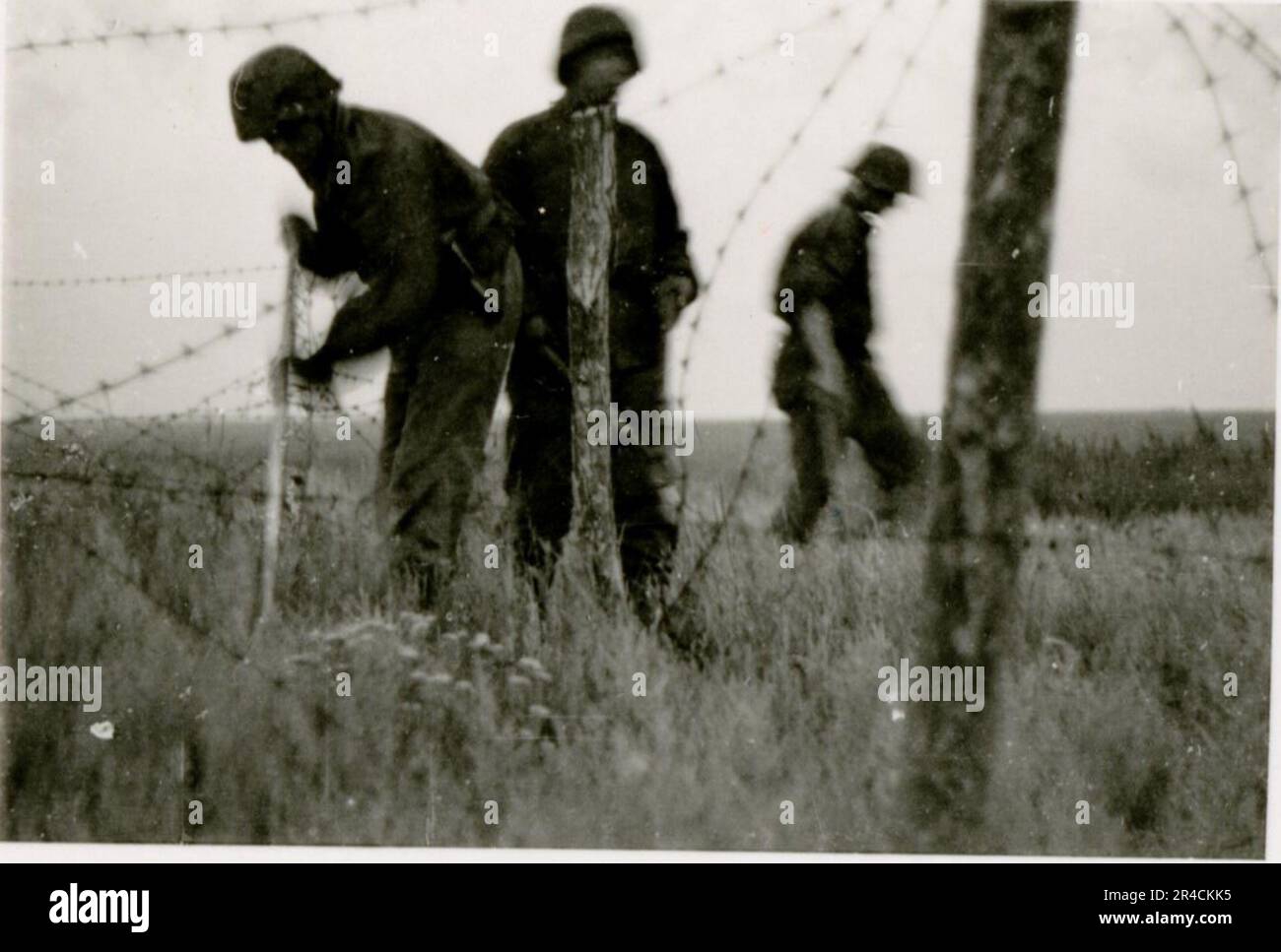 World war two waffen ss artillery hi-res stock photography and images ...