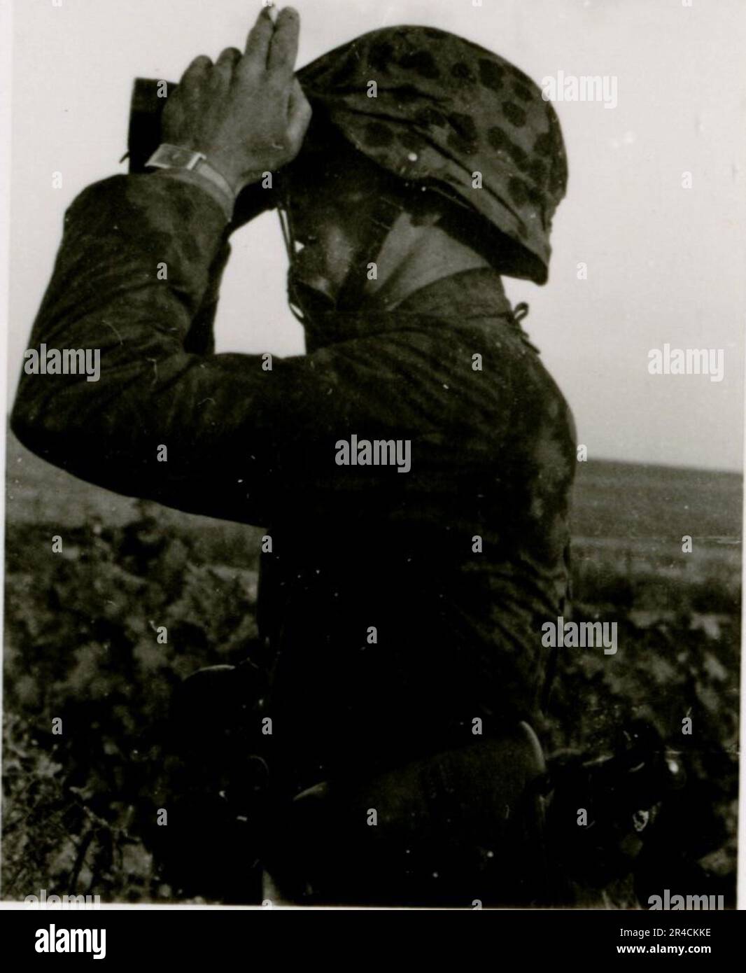 Ss division wiking hi-res stock photography and images - Alamy