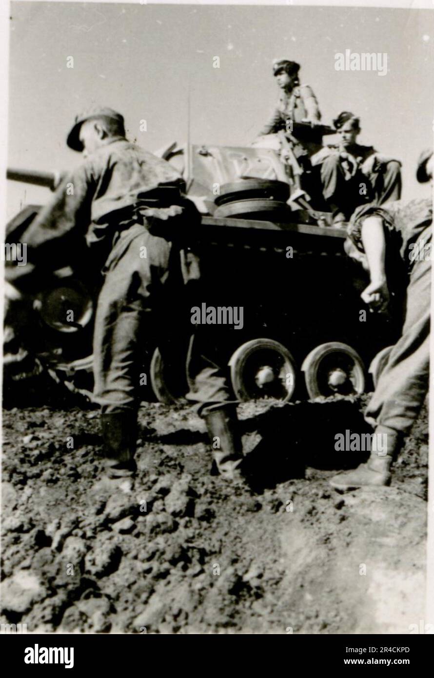 SS Photographer Willi Altstadt, Wiking Division, Russia 1942. Rostov ...