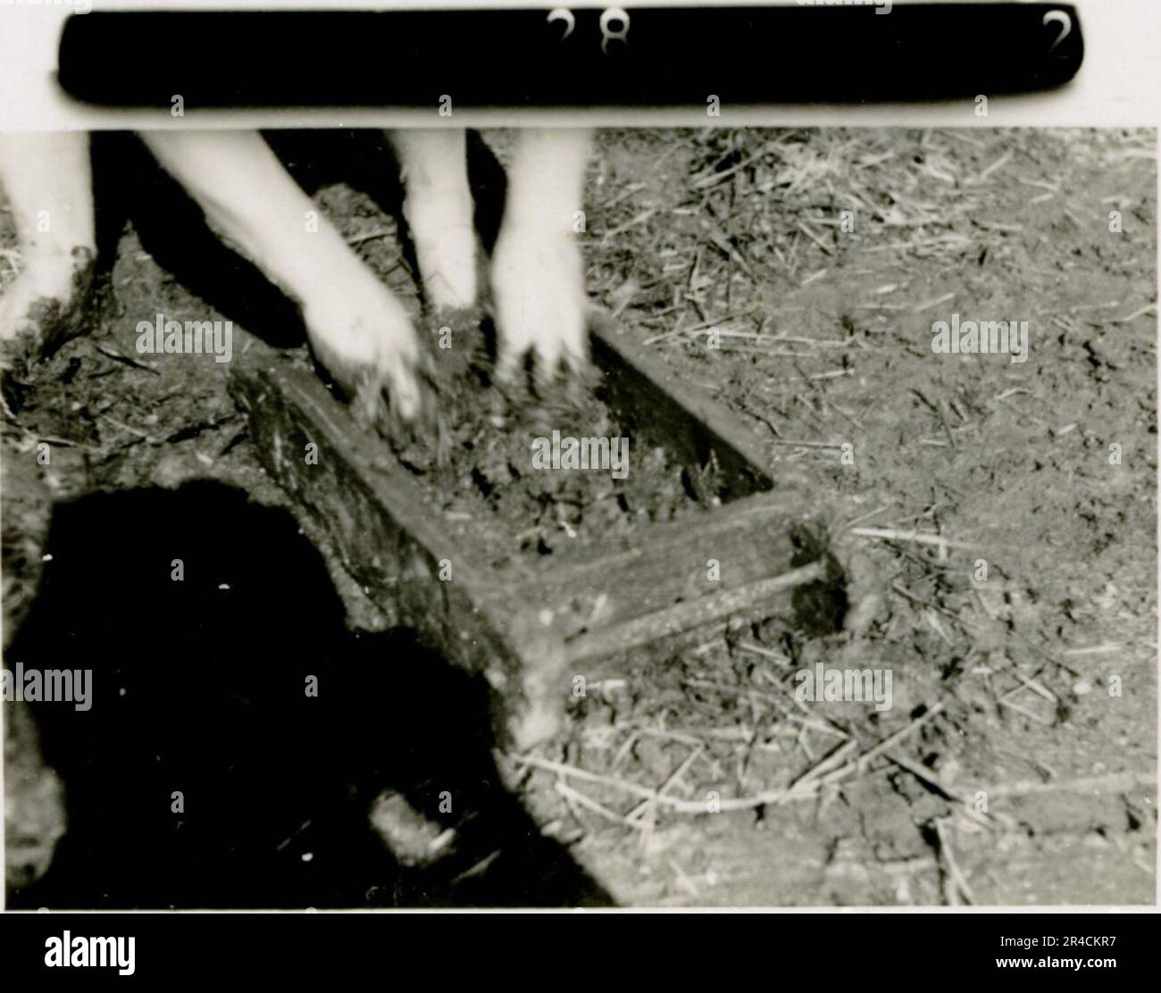 SS Photographer Willi Altstadt, Wiking Division, Russia 1942. Rostov ...