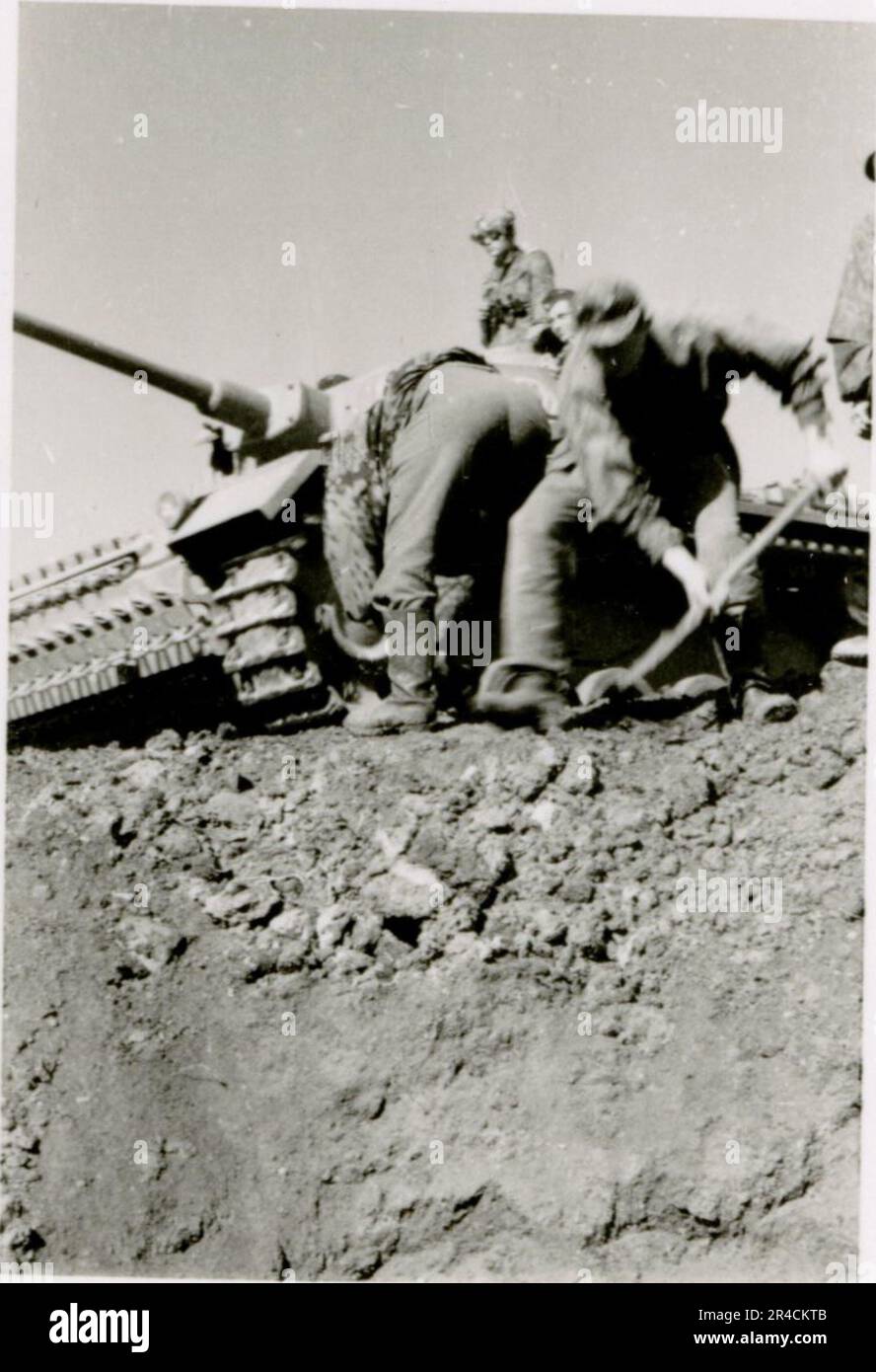 SS Photographer Willi Altstadt, Wiking Division, Russia 1942. Rostov ...