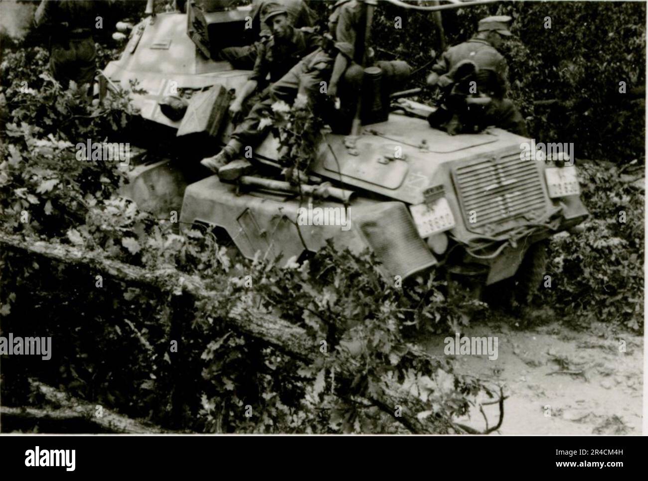 SS Photographer Willi Altstadt, Wiking Division, Russia 1942. Rostov ...