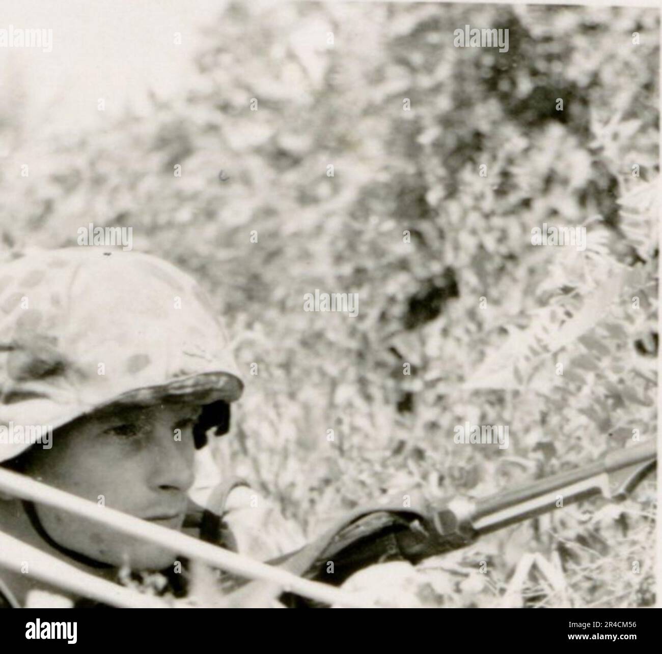 SS Photographer Willi Altstadt, Wiking Division, Russia 1942. Rostov ...