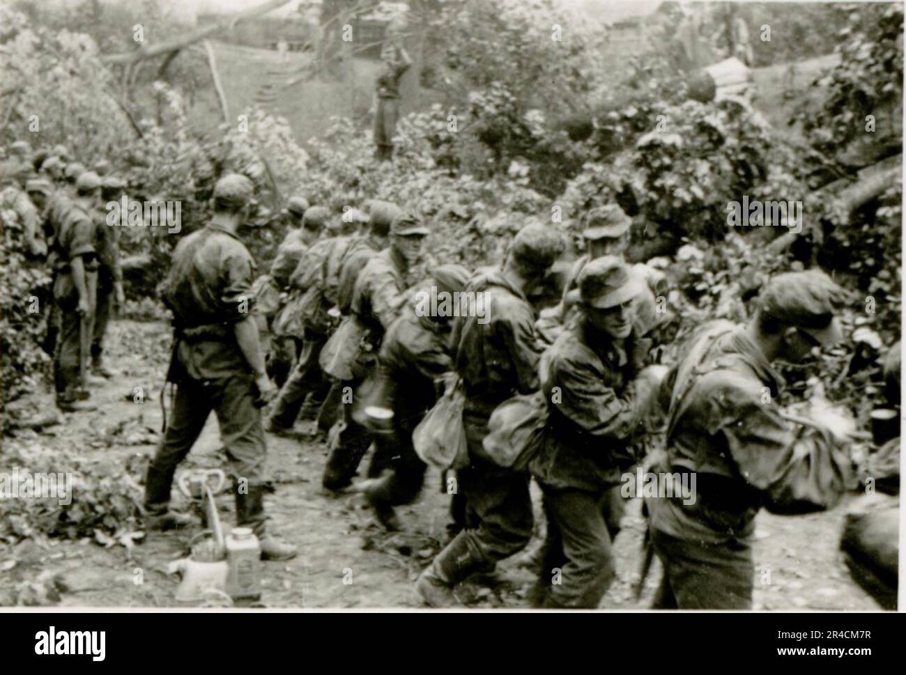 SS Photographer Willi Altstadt, Wiking Division, Russia 1942. Rostov ...