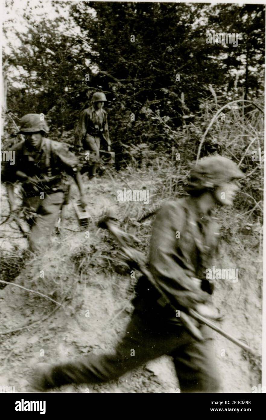 SS Photographer Willi Altstadt, Wiking Division, Russia 1942. Rostov ...