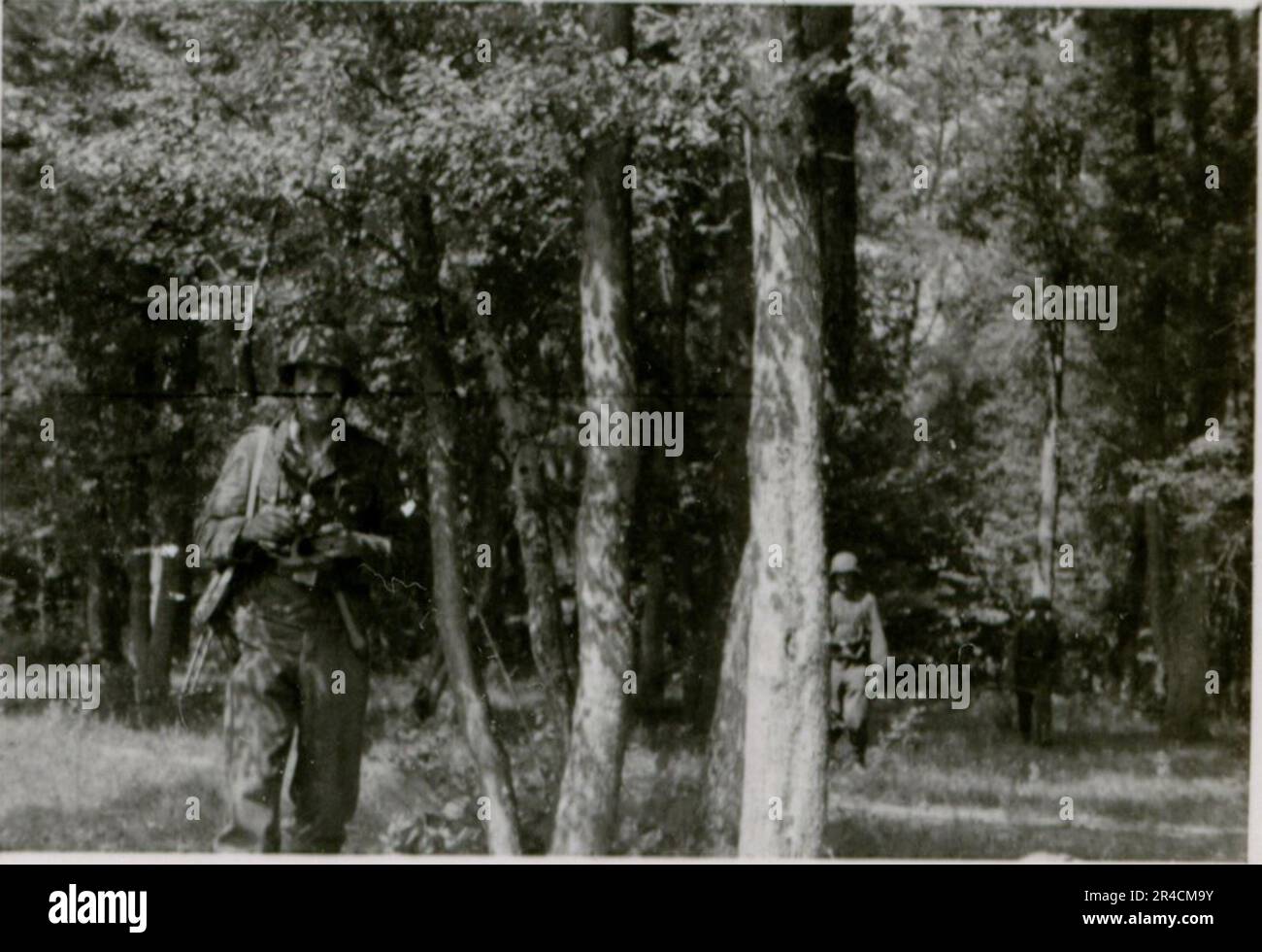 SS Photographer Willi Altstadt, Wiking Division, Russia 1942. Rostov ...