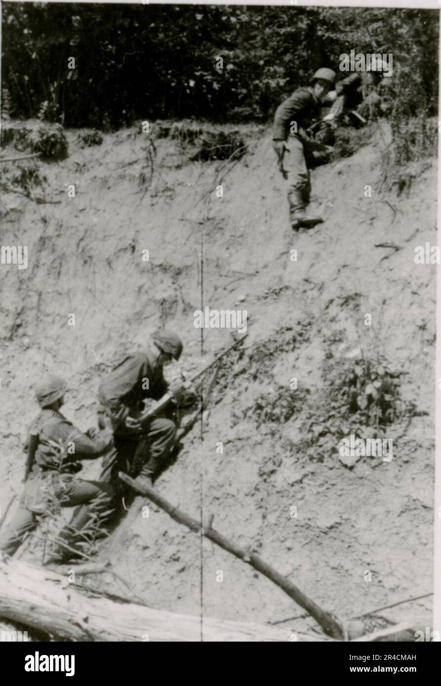SS Photographer Willi Altstadt, Wiking Division, Russia 1942. Rostov ...