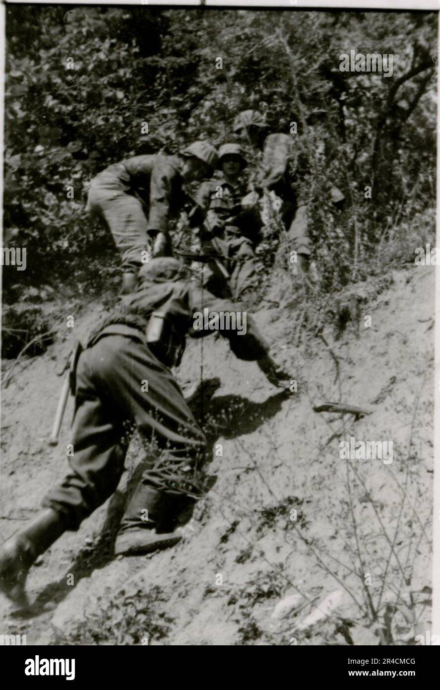 SS Photographer Willi Altstadt, Wiking Division, Russia 1942. Rostov ...