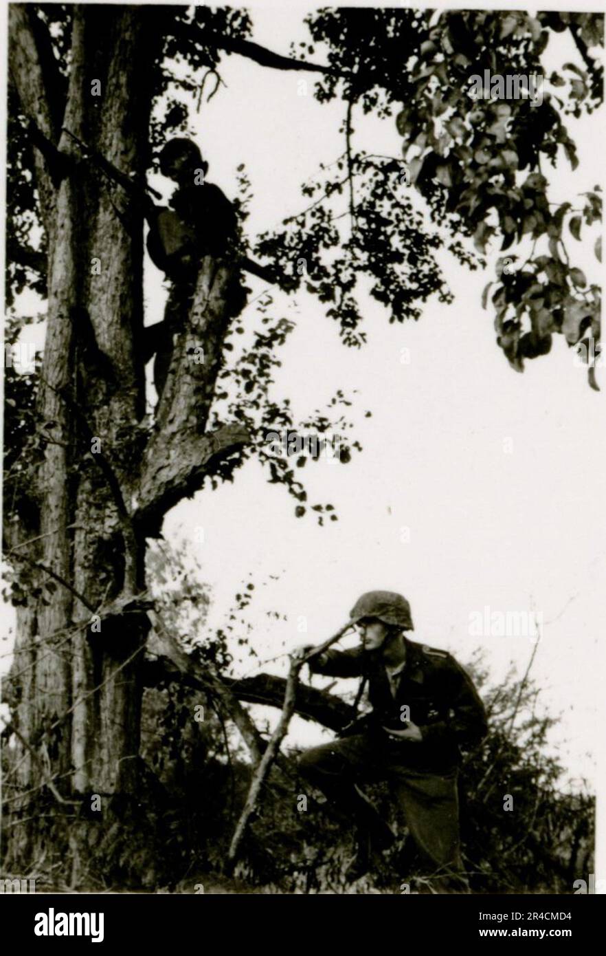 Ss division wiking hi-res stock photography and images - Alamy