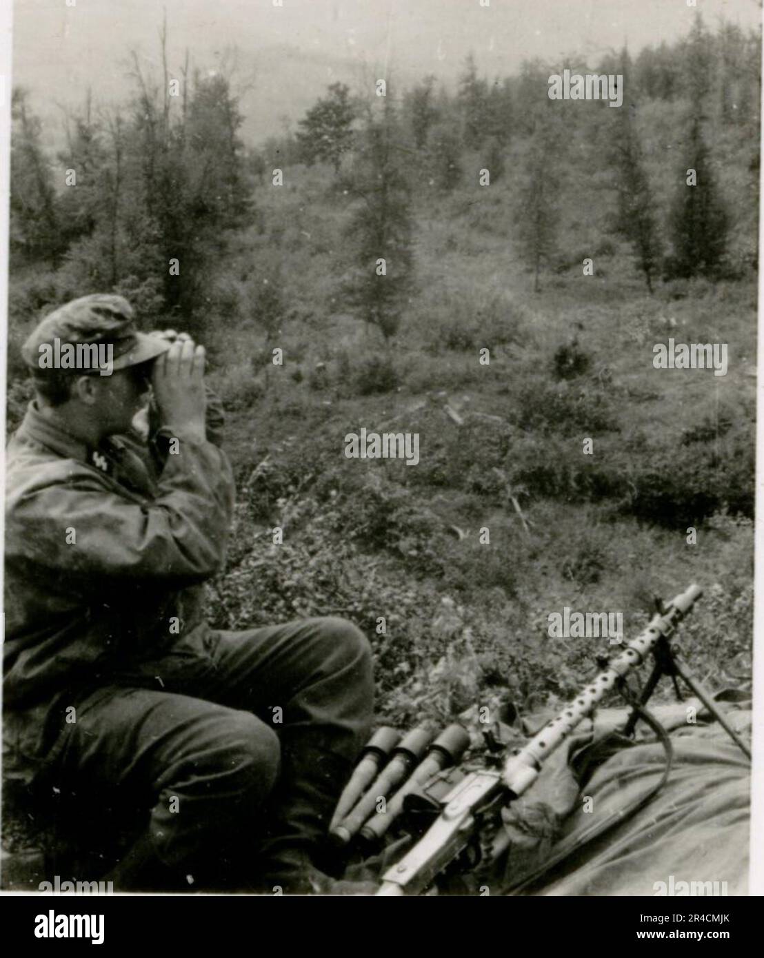 SS Photographer Willi Altstadt, Wiking Division, Russia 1942. Rostov ...