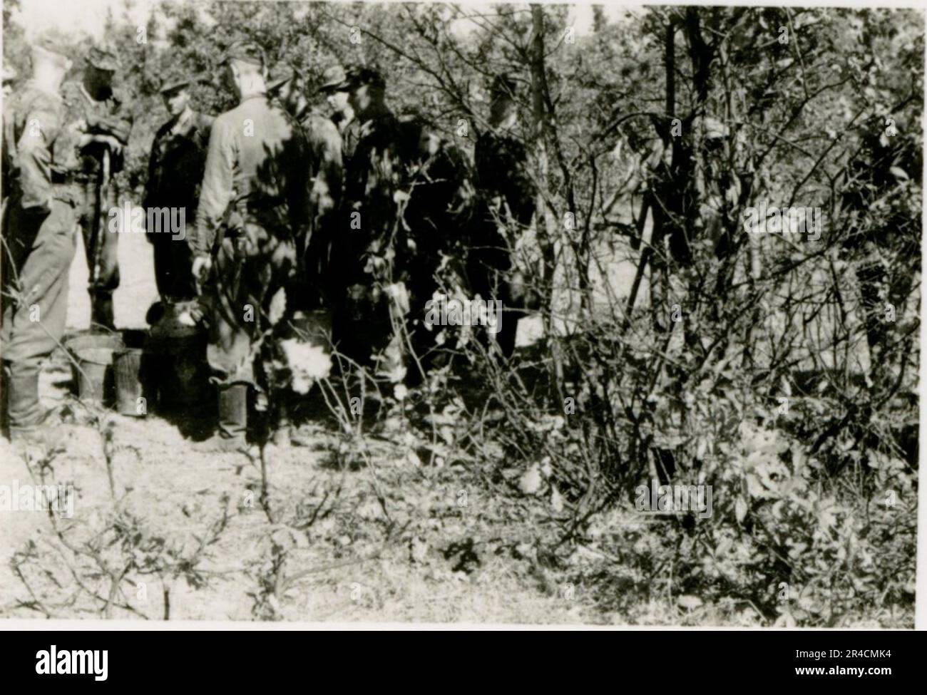 SS Photographer Willi Altstadt, Wiking Division, Russia 1942. Rostov ...